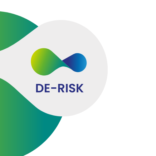 De-Risk Project – De-Risk Project